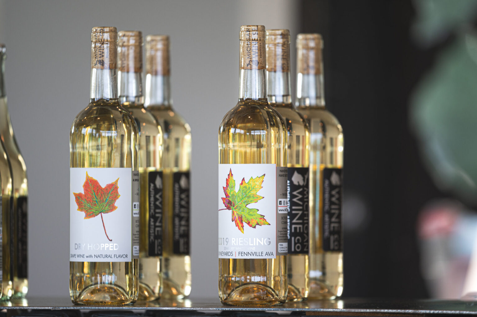 Grape Expectations: An Exploration of the Art Coast's Signature Grapes ...