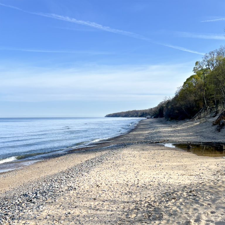 Beaches & Dunes - Saugatuck Douglas, MI